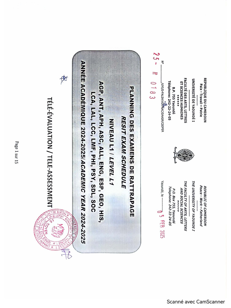 Planning Rattrapage S1 L1 2024-2025 | PDF