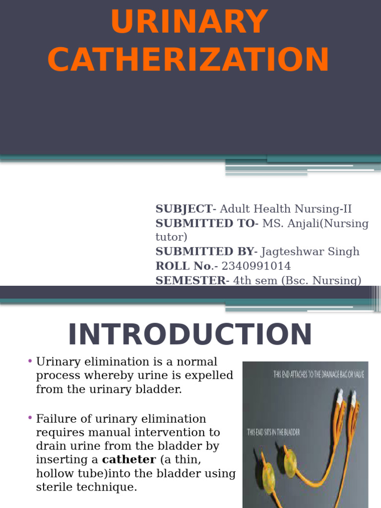 Urinary Catheterization Guide for Nurses | PDF | Urinary Incontinence ...