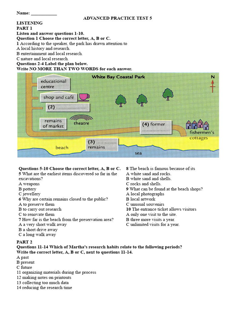 Practice Test Advanced 5 NO KEY | PDF | Internet | Dogs