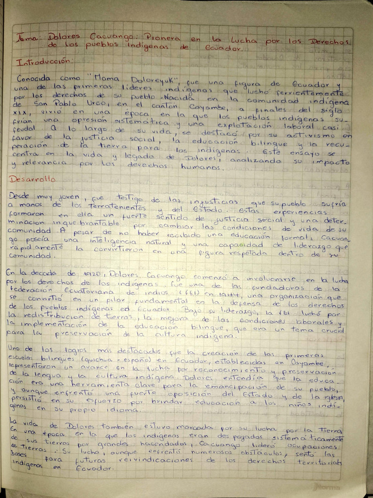 Ciudadania - Ensayo de Dolores C. | PDF