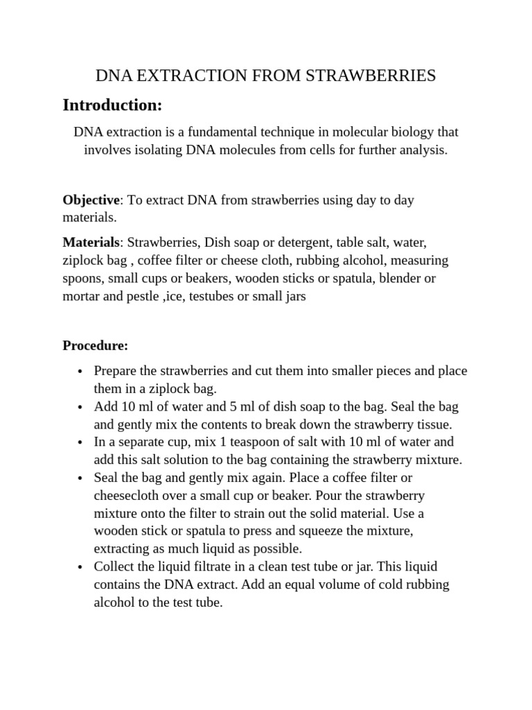Dna Extraction From Strawberries | PDF