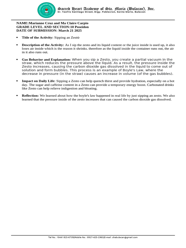 Template by Pair Activity1 | PDF