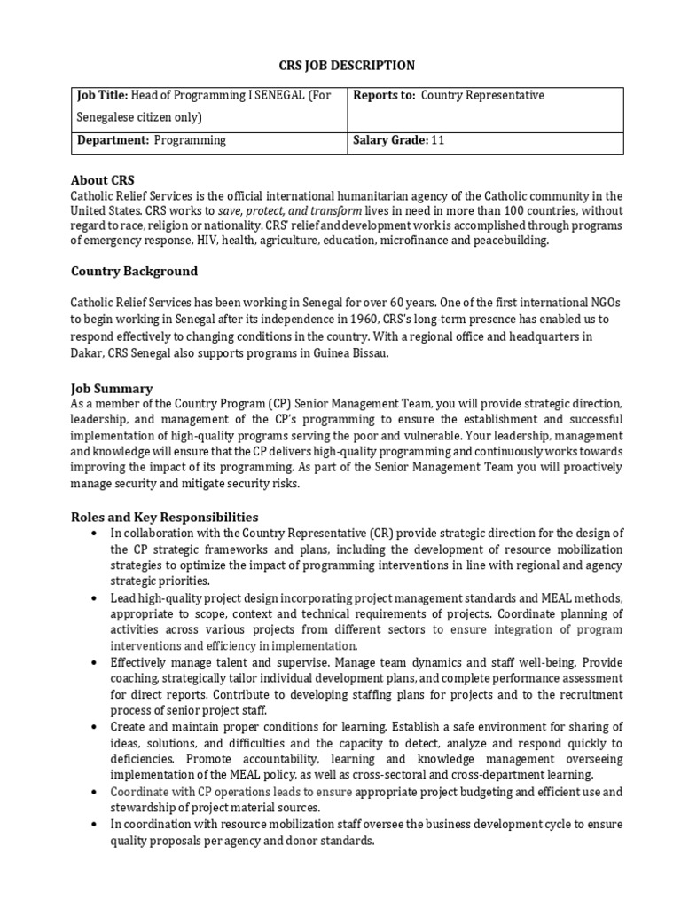 Head of Programming I | PDF