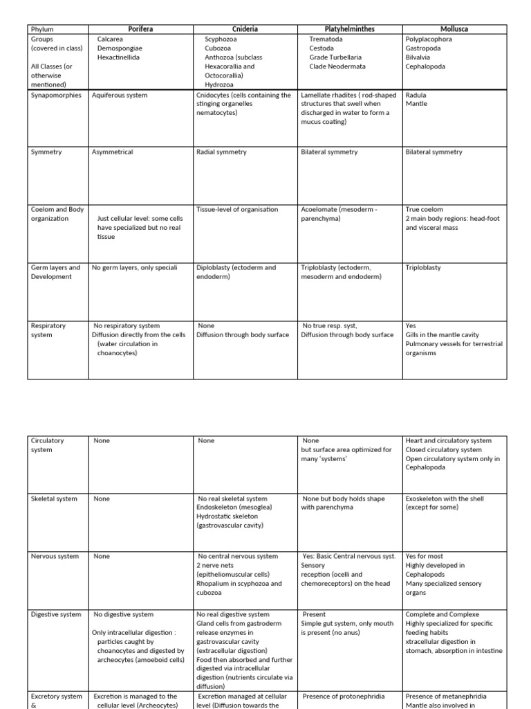 Animal Phyla Study Table | PDF | Digestion | Skeleton