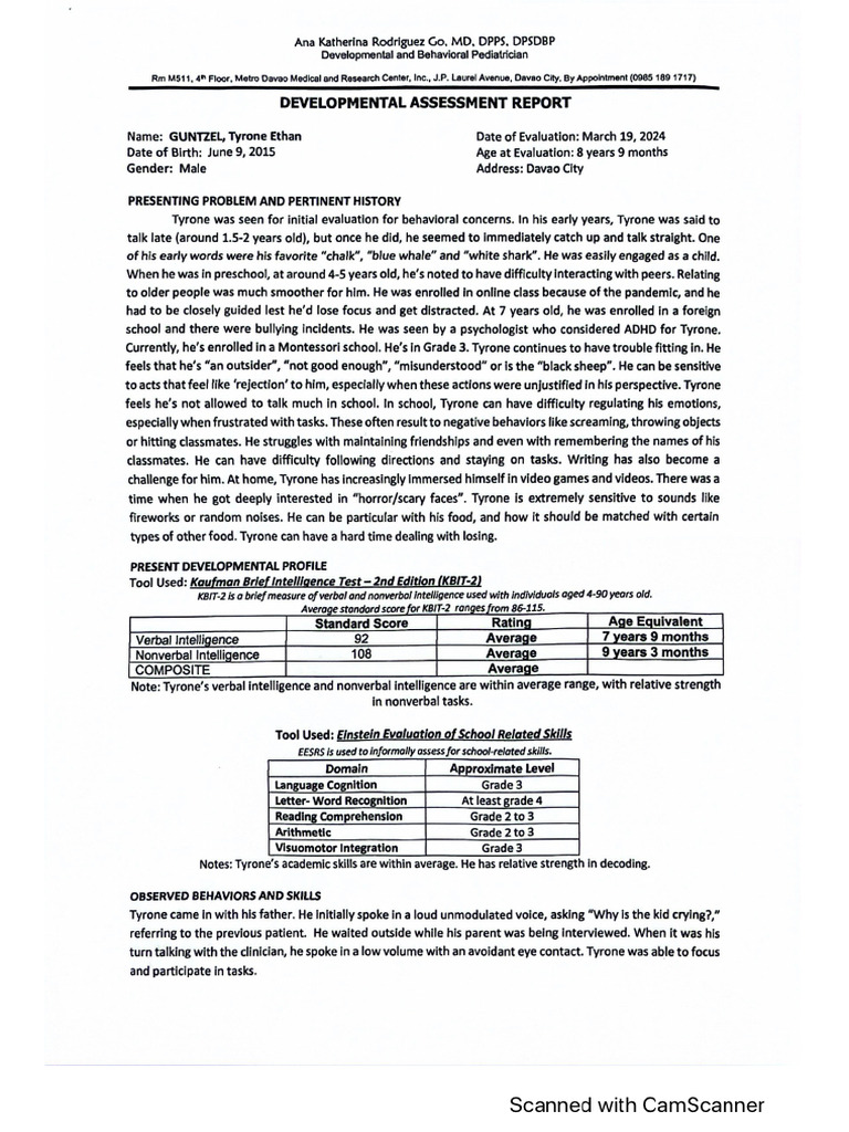 Developmental Assessment Report | PDF