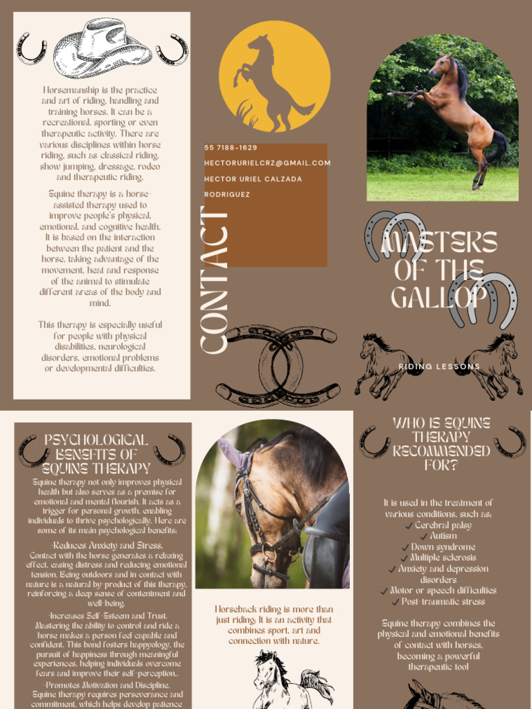 The Brochure - Hector Uriel Calzada Rodriguez | PDF | Mental Health ...