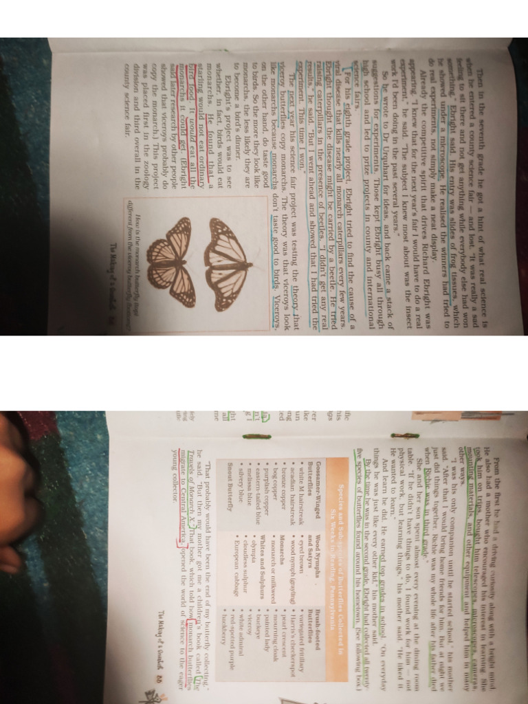 Image to PDF 20250321 12.20.37 | PDF