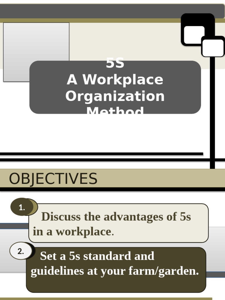 5S Workplace Organization Guide | PDF