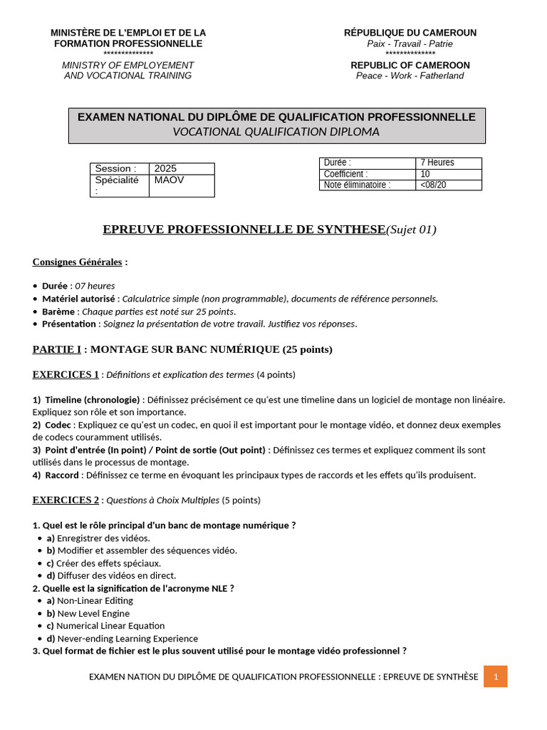 Épreuve de synthèse DQP 2025 MAOV | PDF