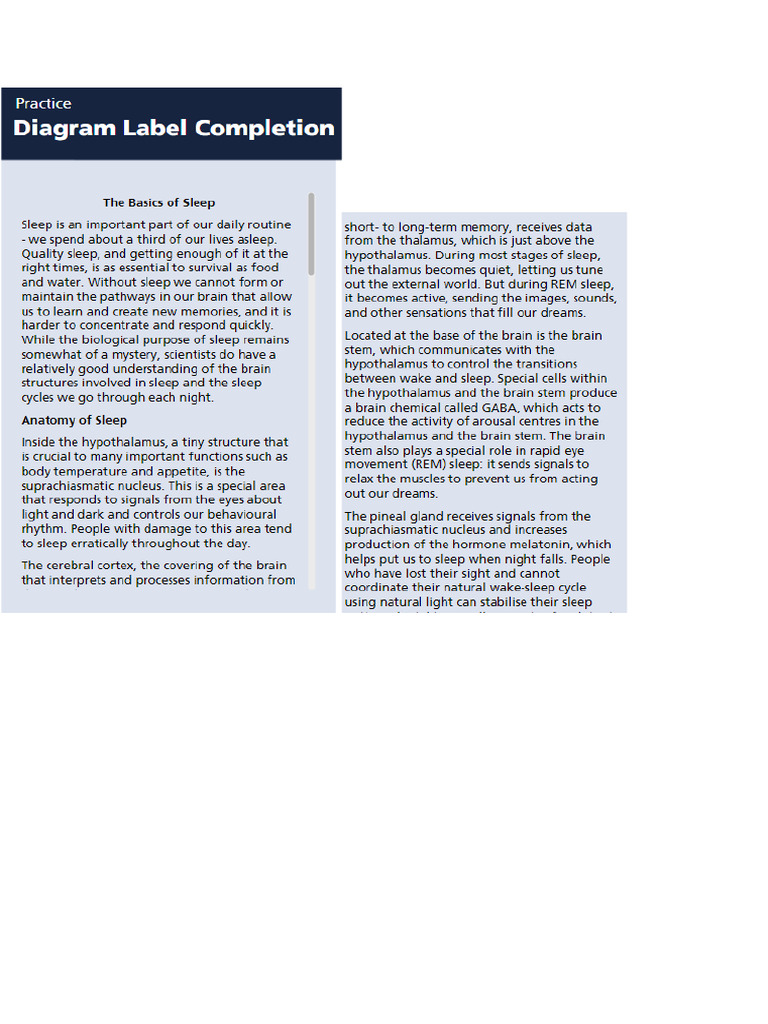 dIAGRAM lABEL COMPLETION | PDF