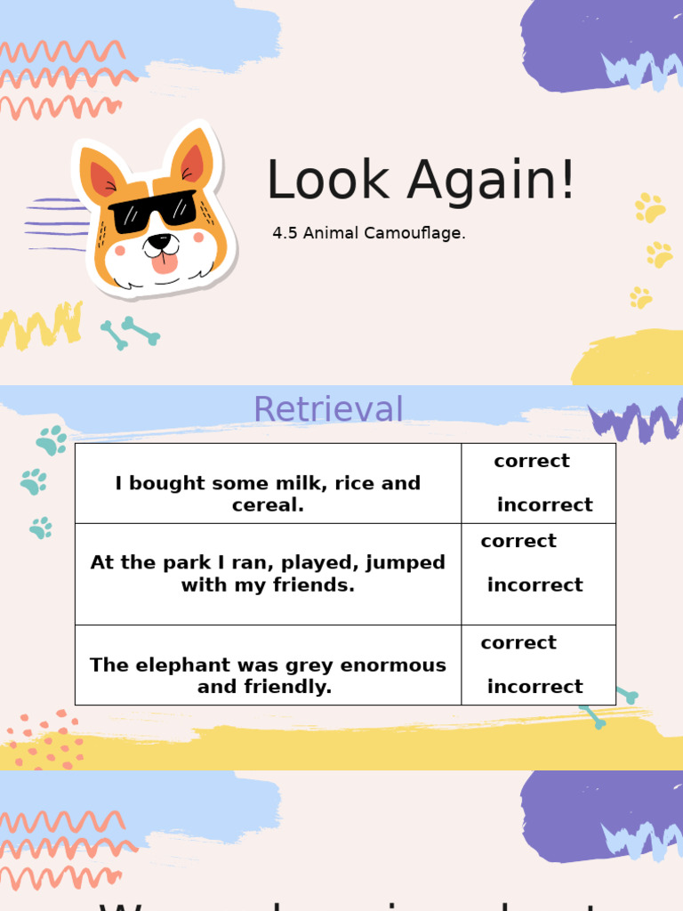 Understanding Animal Camouflage | PDF