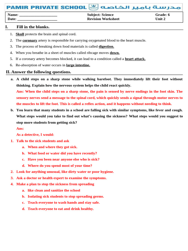 Worksheet Grade 6 Unit 2 With Answers | PDF | Breathing | Lung