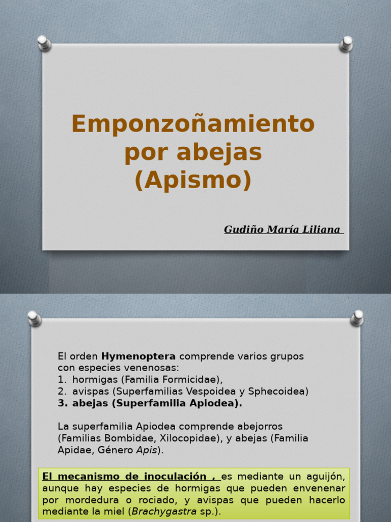 Apismo | PDF | Avispa | Especialidades Medicas