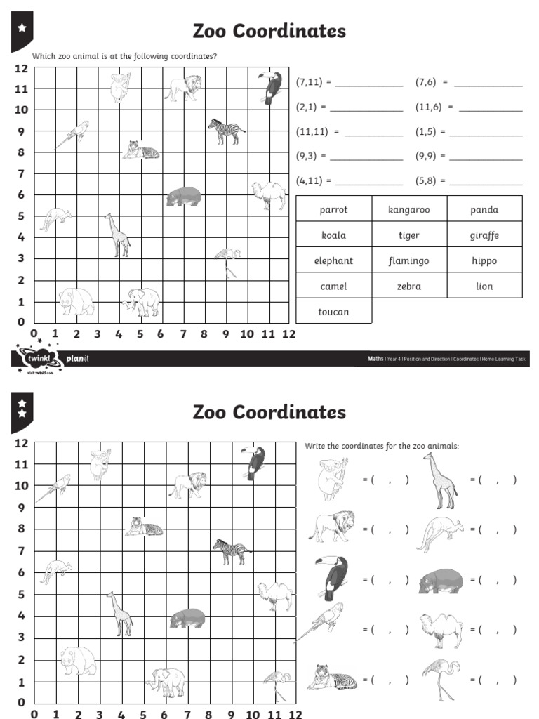 Differentiated Zoo Coordinates Home Learning Task Black and White | PDF ...