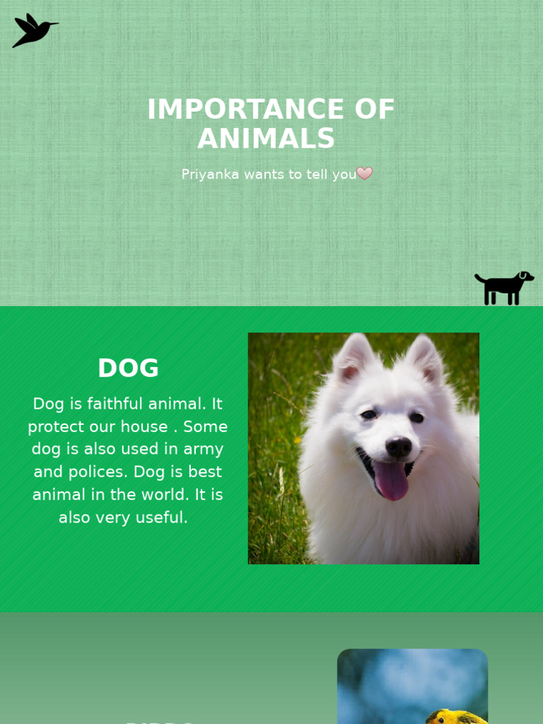 Importance of Animals | PDF