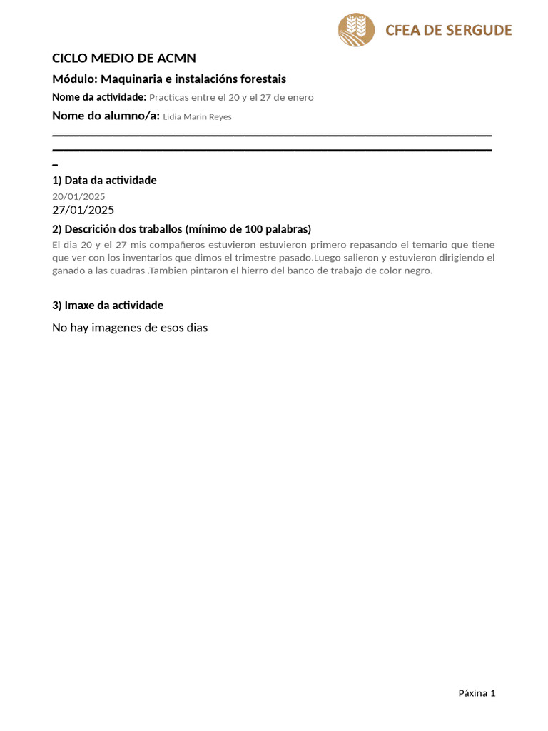 Practicas Lidia Marin Reyes | PDF