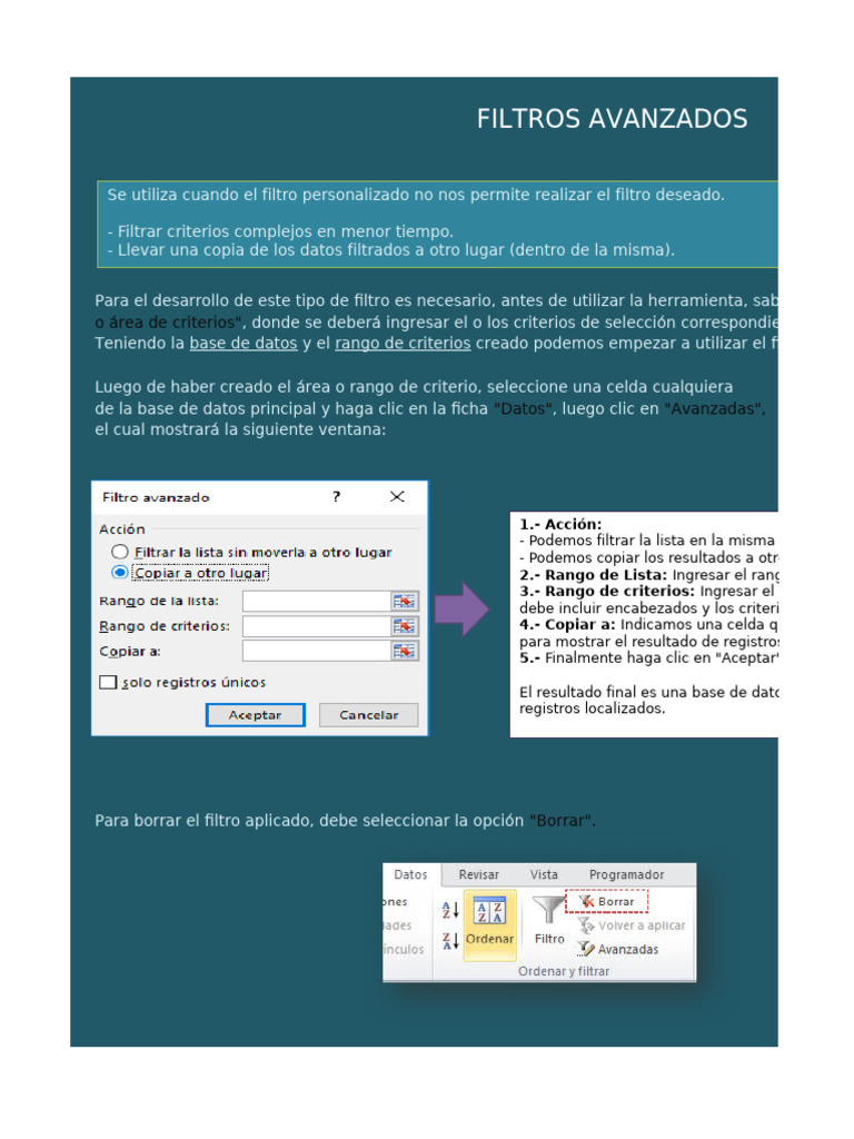 Filtros Avanzados en Excel para Datos | PDF | Gestión de datos | Business
