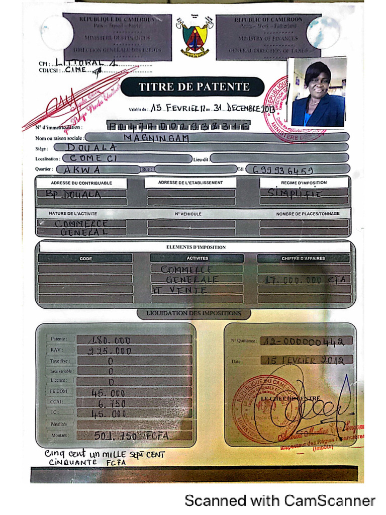 Titre de Patente | PDF