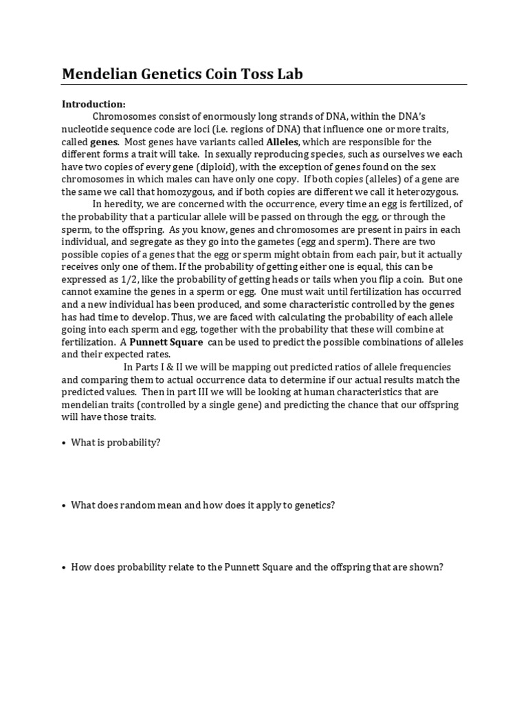 Mendelian-Genetics-Coin-Toss-Lab | PDF | Dominance (Genetics) | Zygosity
