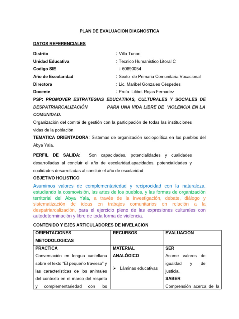 PLAN DE EVALUACION DIAGNOSTICA_100633 | PDF