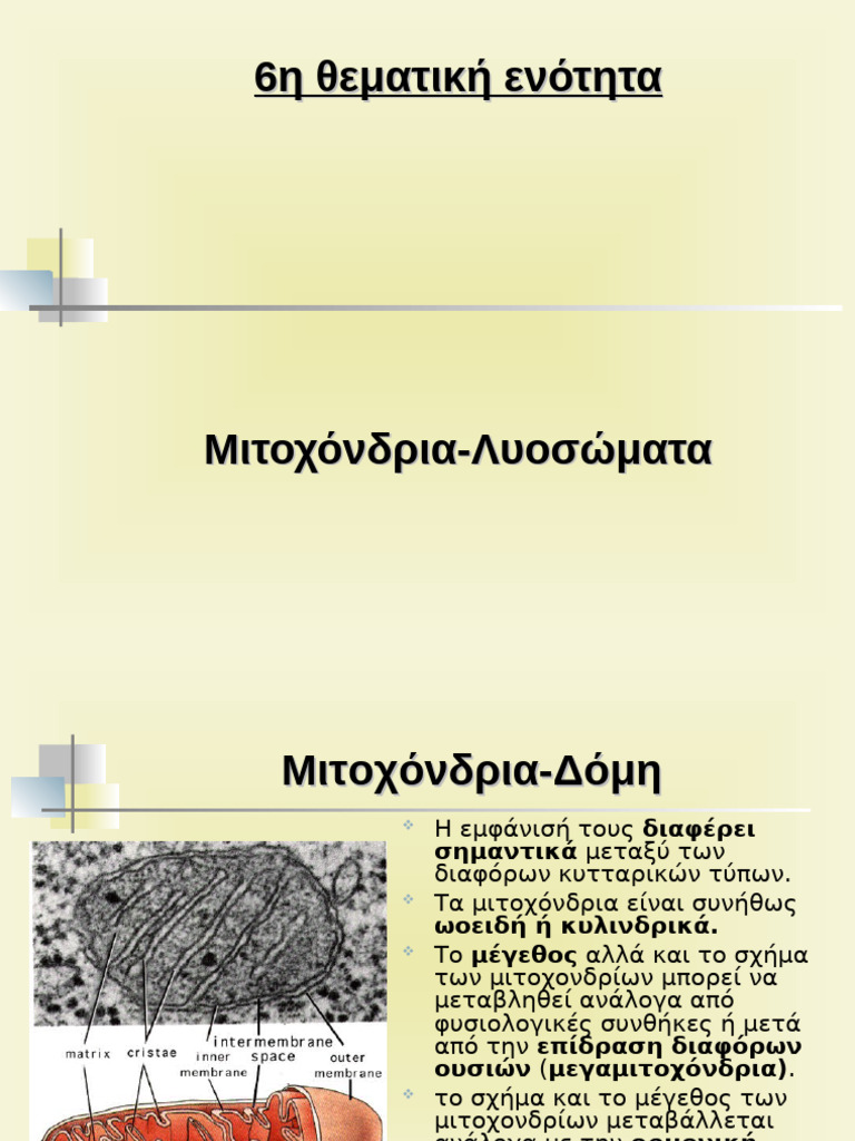 6 h 8ematikh Enothta 2008 | PDF