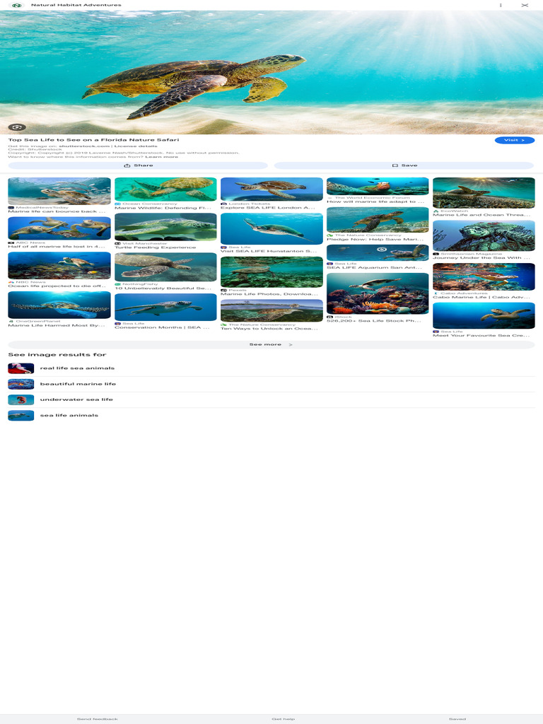 The Ocean and Sea Life - Google Search | PDF | Marine Biology | Aquatic ...