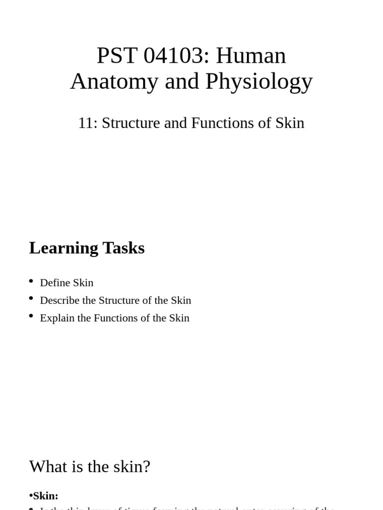 11, Structure and Functions of Skin | PDF | Skin | Integumentary System