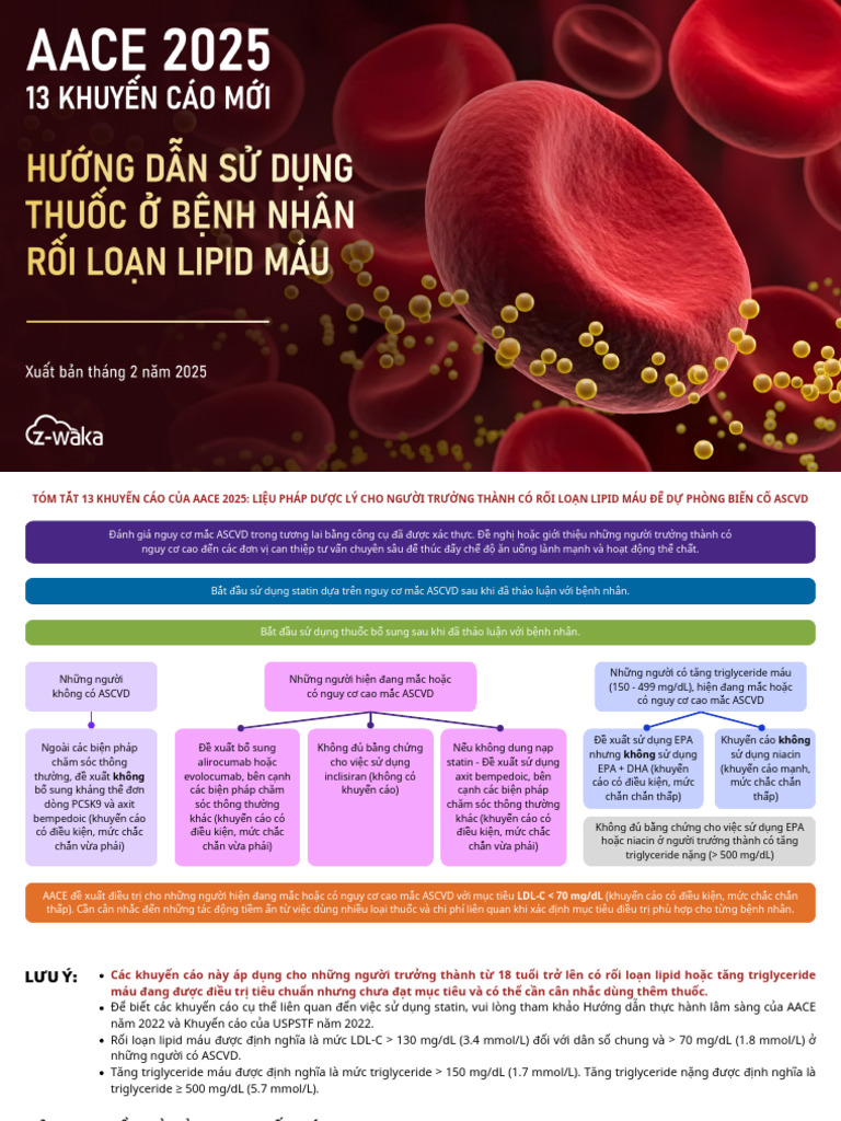 AACE 2025 Dyslipidemia Guidelines (Vietnamese Version) | PDF