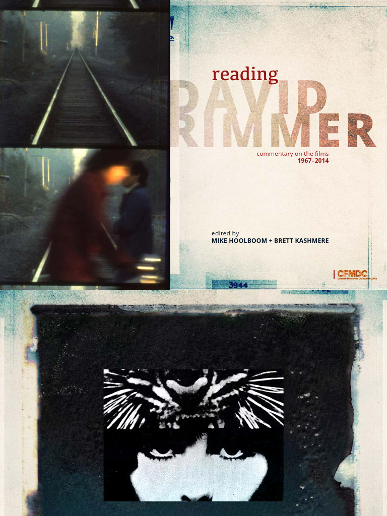 Reading David Rimmer CFMDC 2014 Final | PDF | Experience