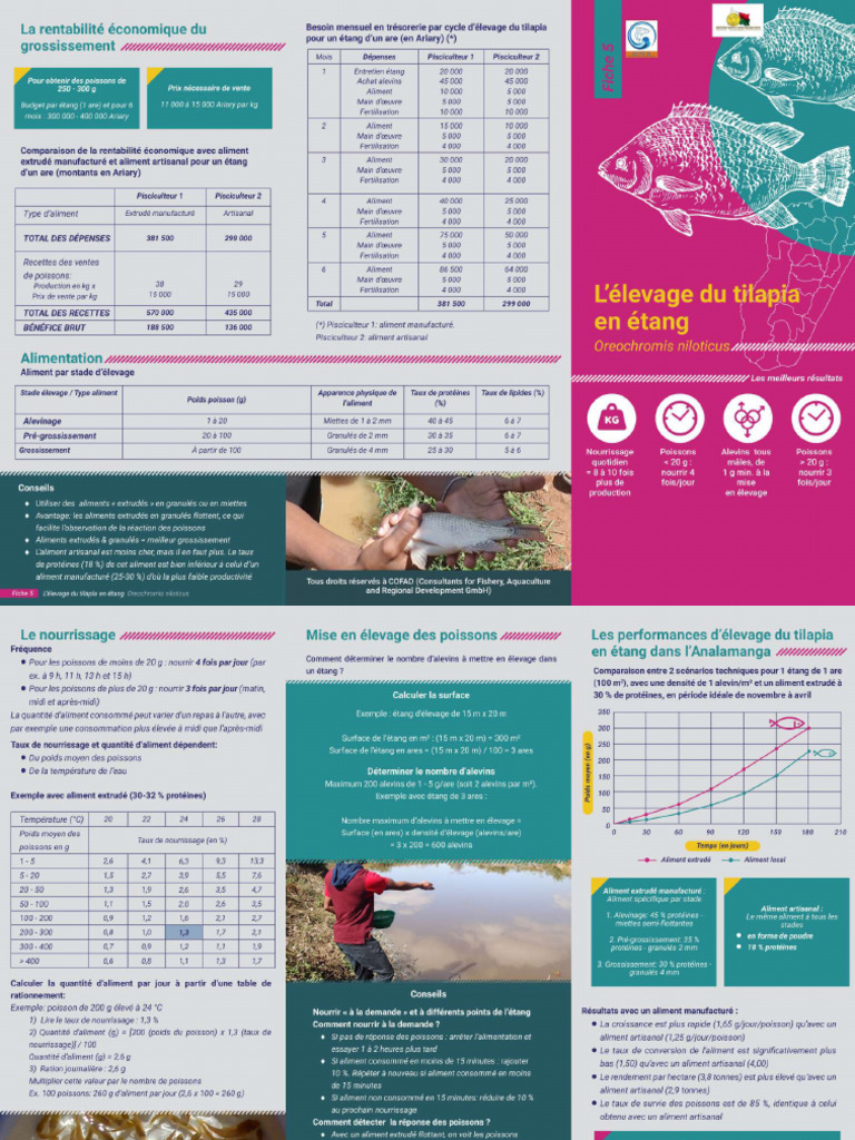 FICHE-5 Elevage Tilapia Etang | PDF