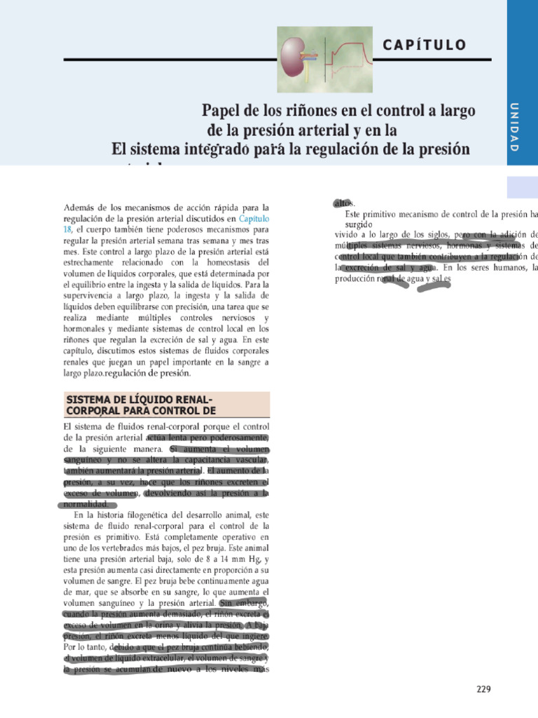 Fisiologia de Guyton 14ed ES | PDF