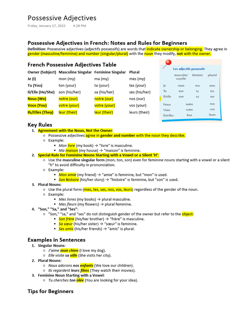 French Possessive Adjectives Guide | PDF | Grammatical Gender | Plural