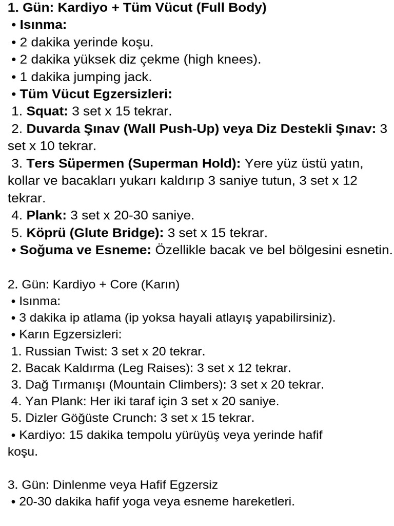 Evde Egzersiz 1 | PDF