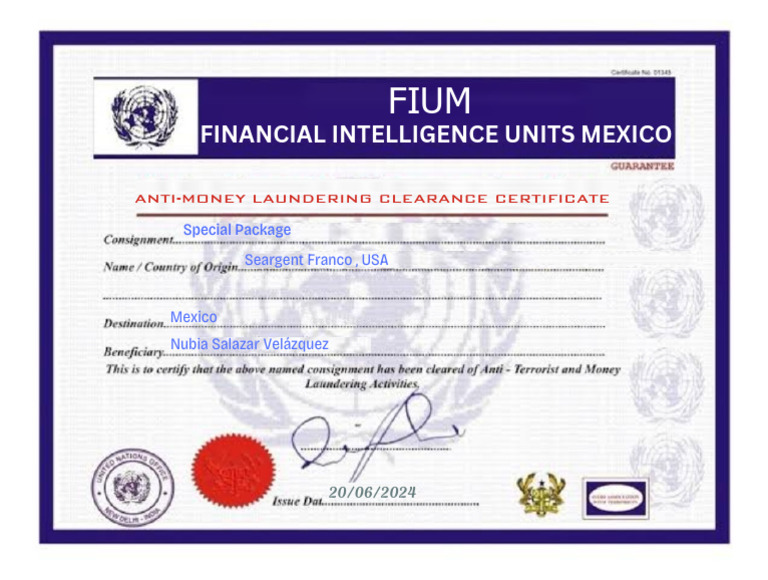 Financial Intelligence Units Mexico - 20250321 - 135500 - 0000 | PDF