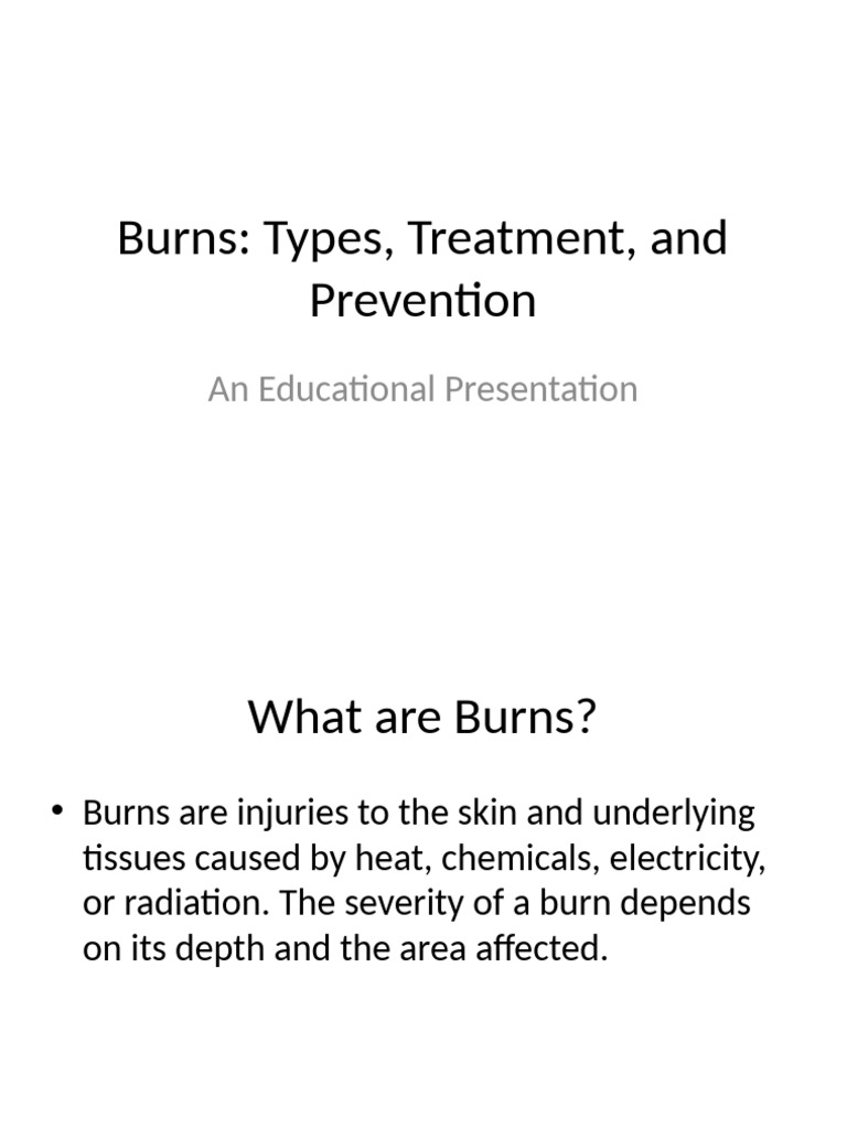 Burns Presentation Updated | PDF