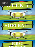 Rounders Basic Skills Guide | PDF | Bowling (Cricket) | Ball Games