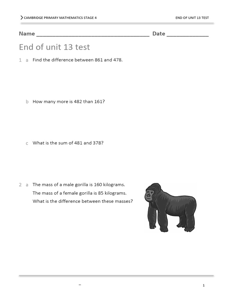 Stage 4 End of Unit 13 Test | PDF