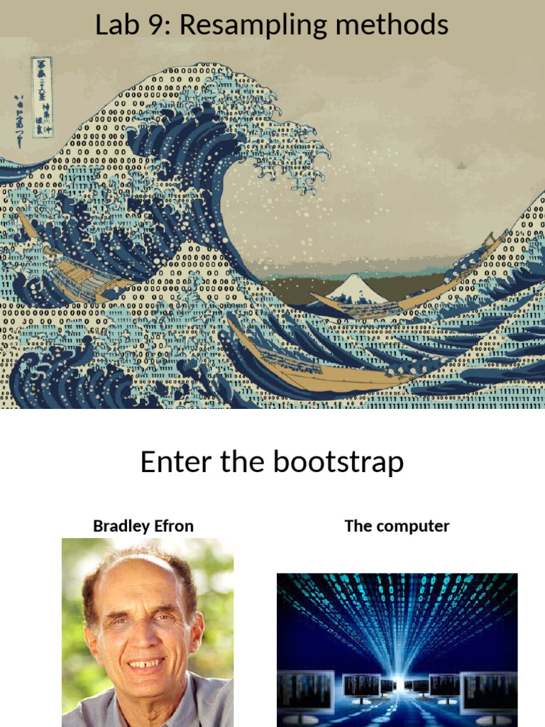 Resampling Methods | PDF