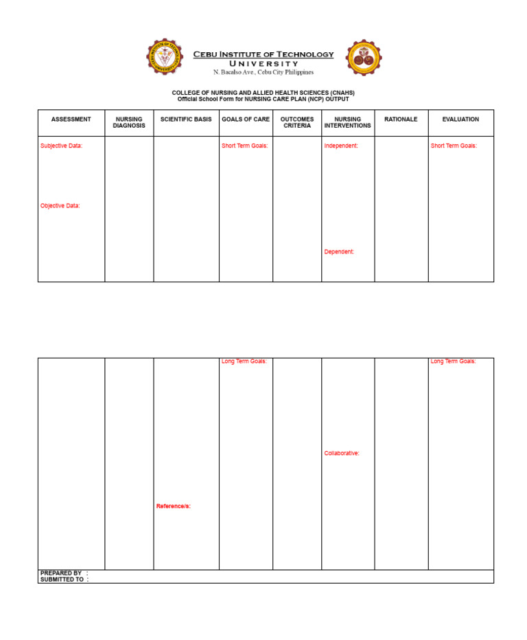 Nursing Care Plan Template (NCP) | PDF