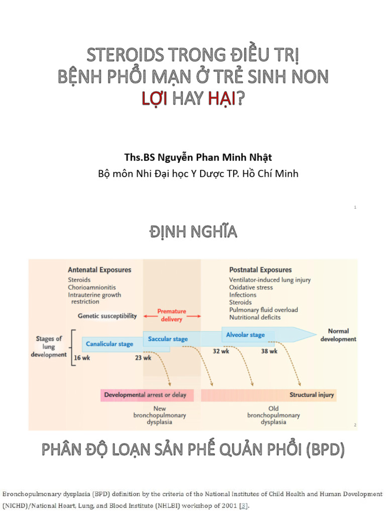 BPD Treatment Present | PDF
