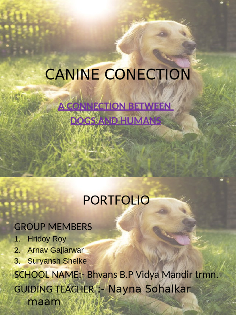 Canine Conection | PDF