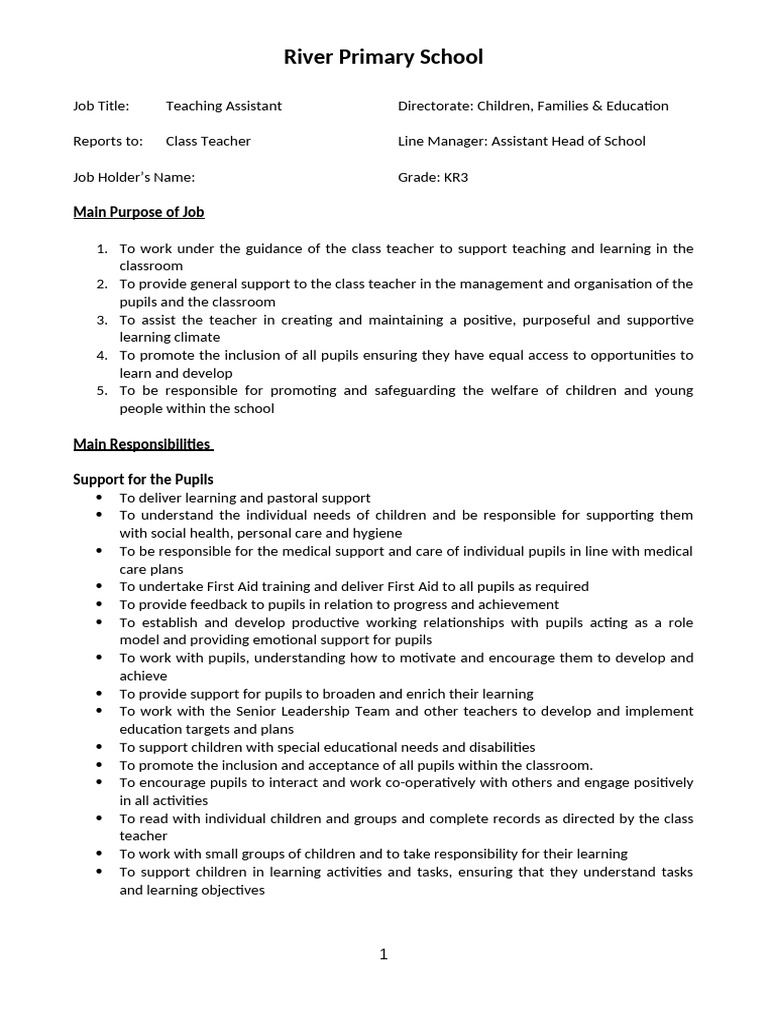 Teaching Assistant Role Overview | PDF | Teachers | Curriculum