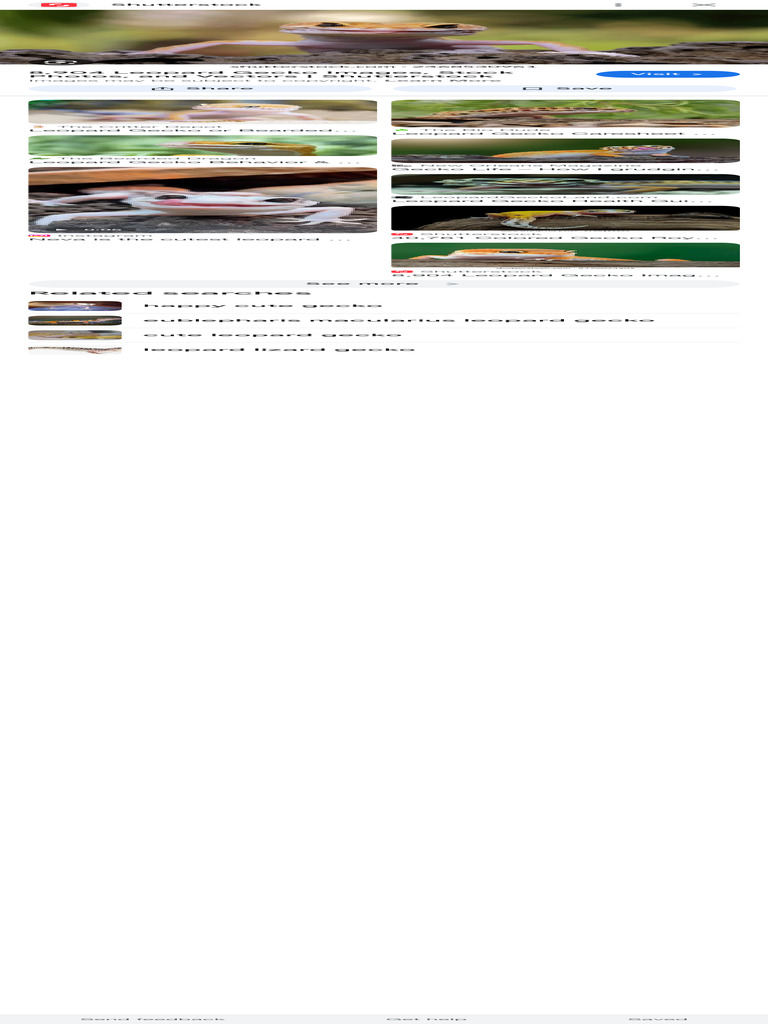 Leopard Gecko Cute Photo - Google Search | PDF