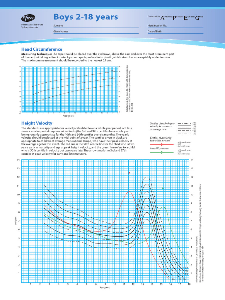 Growth Chart Boys 2 18 Years | PDF | Percentile