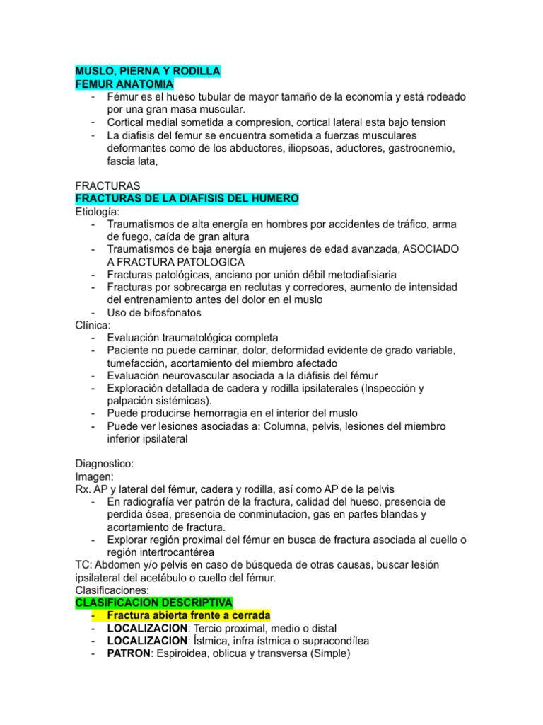 Muslo, RODILLA TYO | PDF | Rodilla | Articulaciones