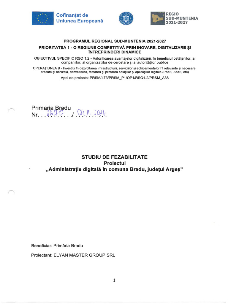 Studiu de Fezabilitate | PDF