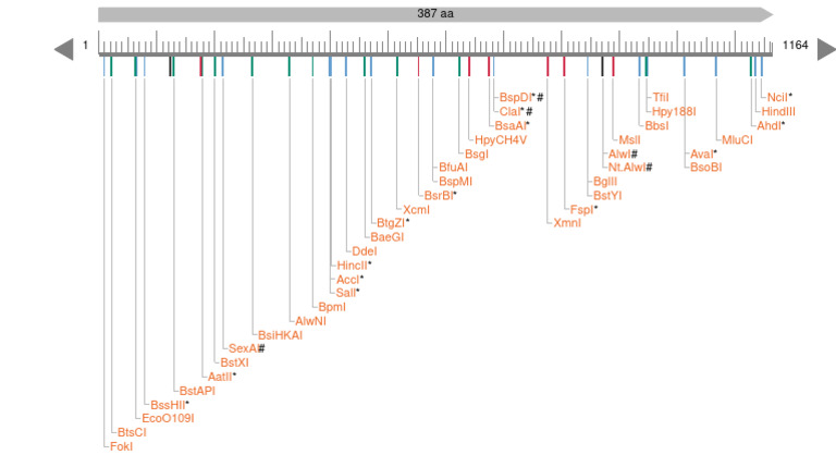 LOC Os02g49680.1 | PDF