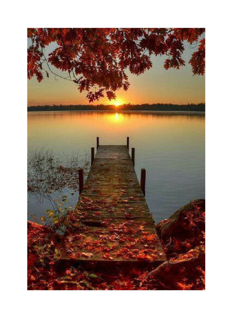 Documento 5555 | PDF