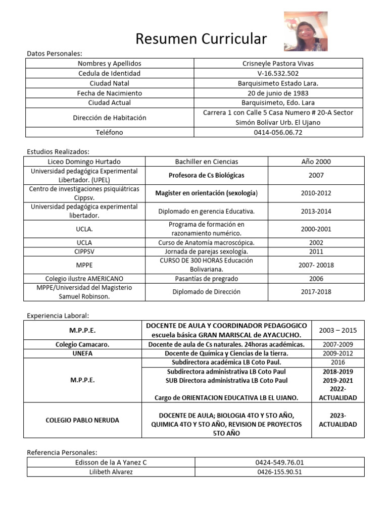 Resumen Curricular Cris | PDF