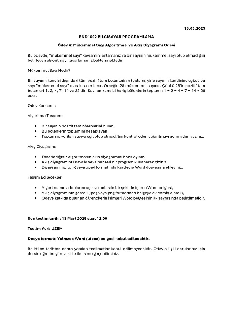 END1002 Bilgisayar Programlama Ödev 4 | PDF